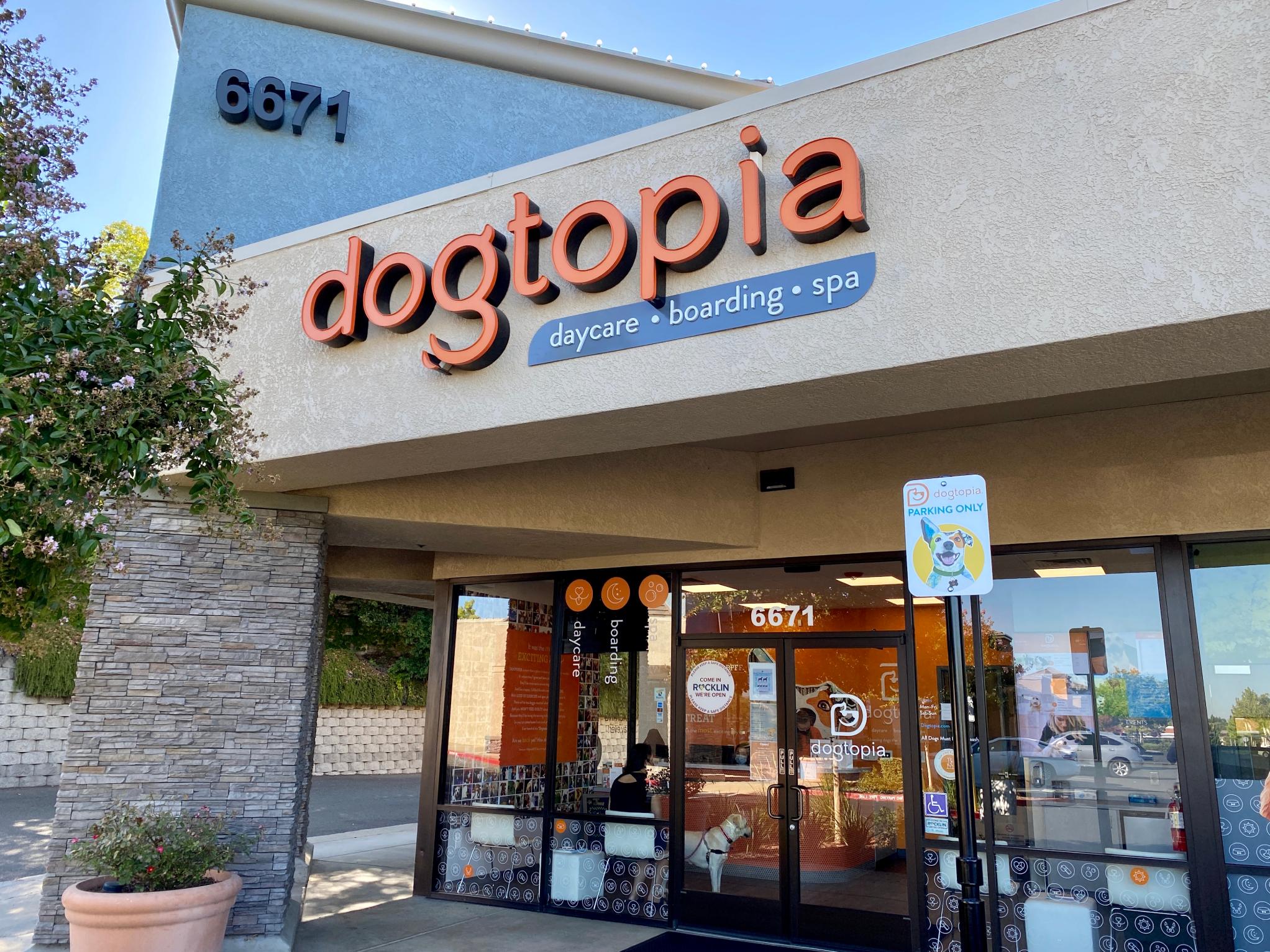 Dogtopia makes brand history with largest-ever franchise deal | Global ...